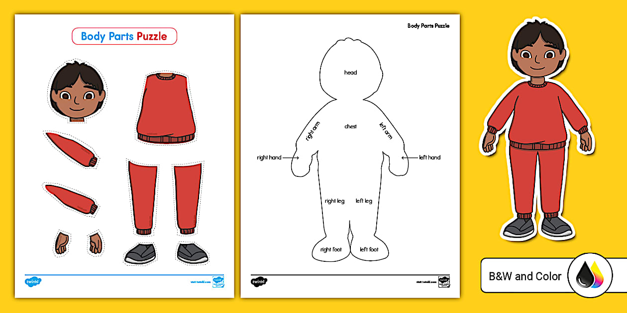Printable Body Parts Puzzle (teacher made) - Twinkl