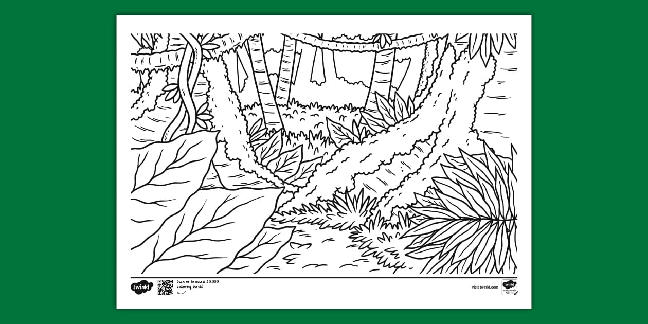 Rainforest Habitat Colouring| Colouring Sheets - Twinkl
