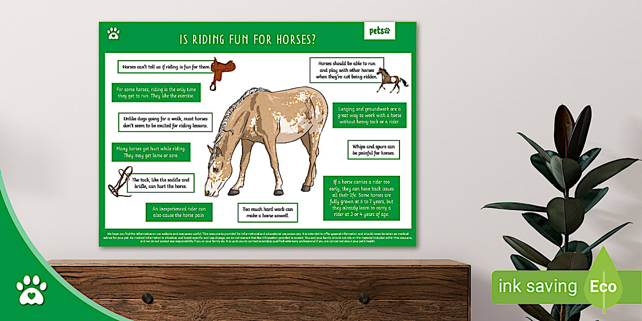 Is Riding Fun For Horses? - Fact Sheet - Twinkl Pets