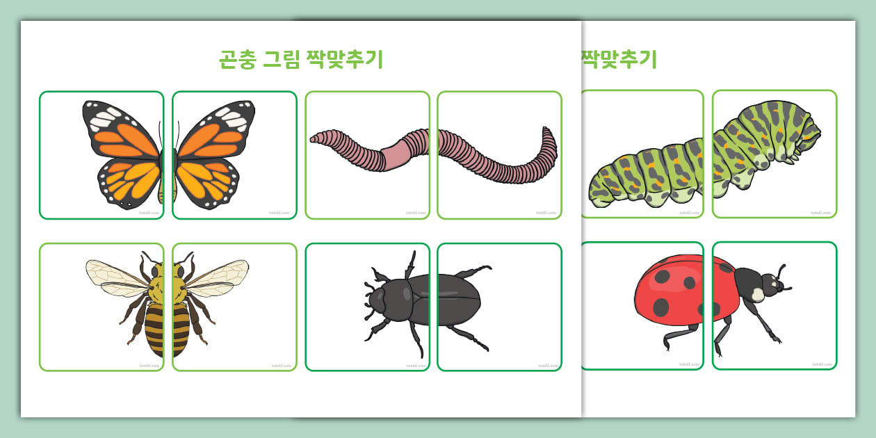 곤충 그림 짝맞추기 퍼즐 게임 Bugs Matching Puzzle Game