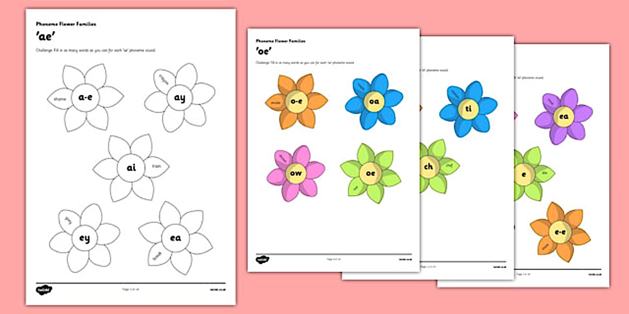 Editable CfE Phoneme Flower Display Pack (teacher made)