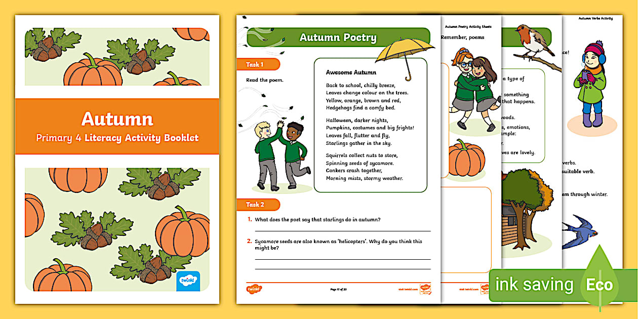 Autumn Literacy Activity Booklet Primary 4 (teacher made)