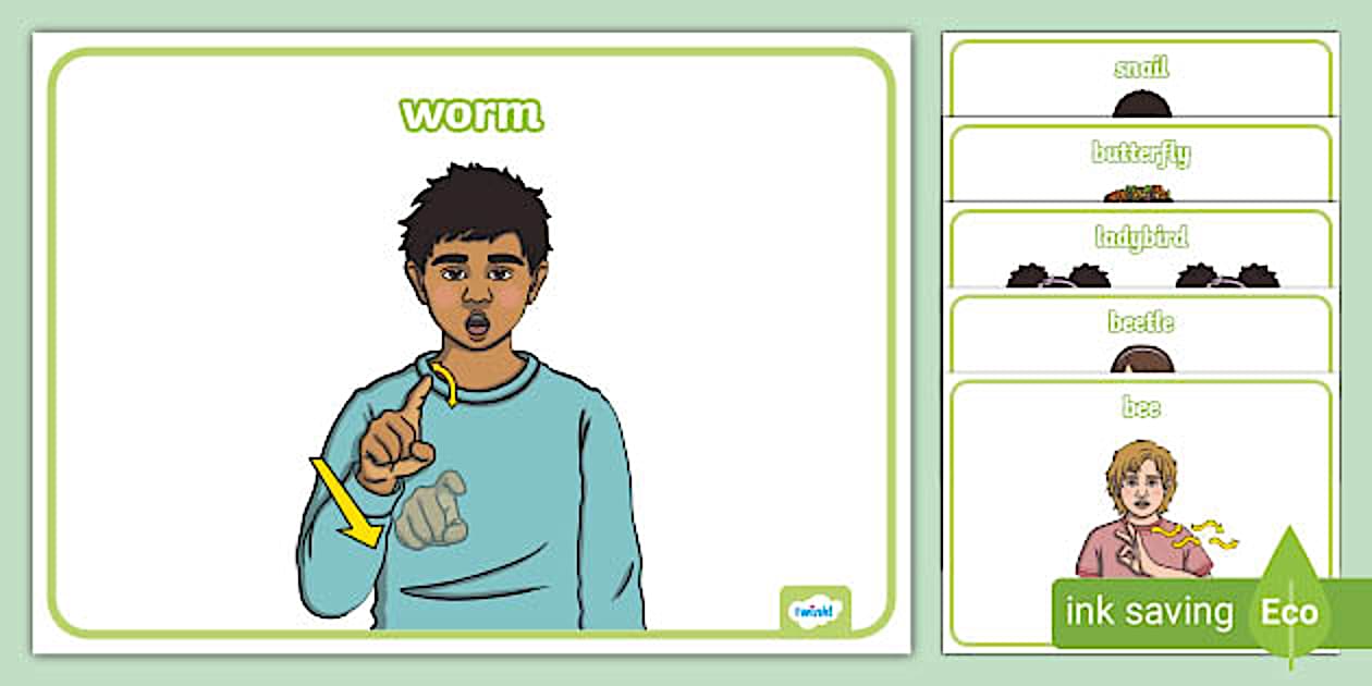 BSL Minibeasts Display Posters (Teacher-Made) - Twinkl