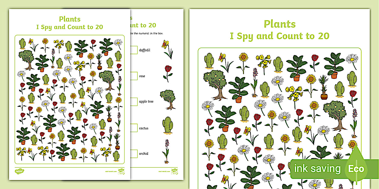 Plants I Spy and Count to 20 (Teacher-Made) - Twinkl