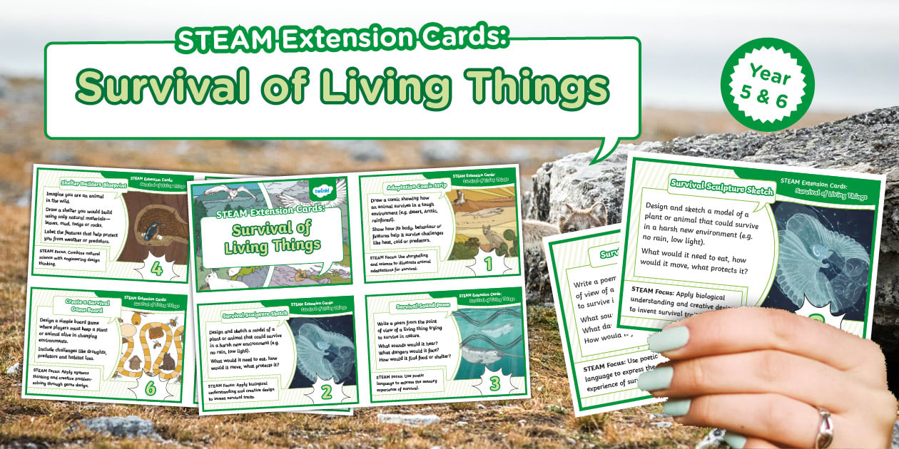 STEAM Extension Cards: Survival of Living Things - Twinkl