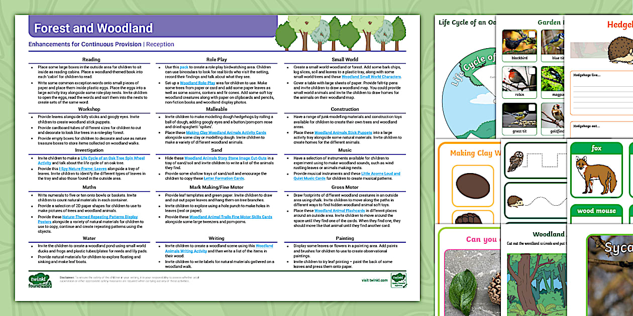 EYFS Forest & Woodland Continuous Provision Ideas Reception