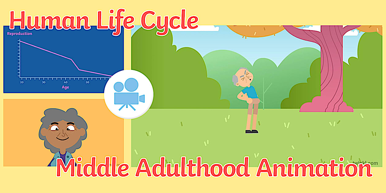 Human Life Cycle: KS2 Middle Adulthood Animation | Twinkl