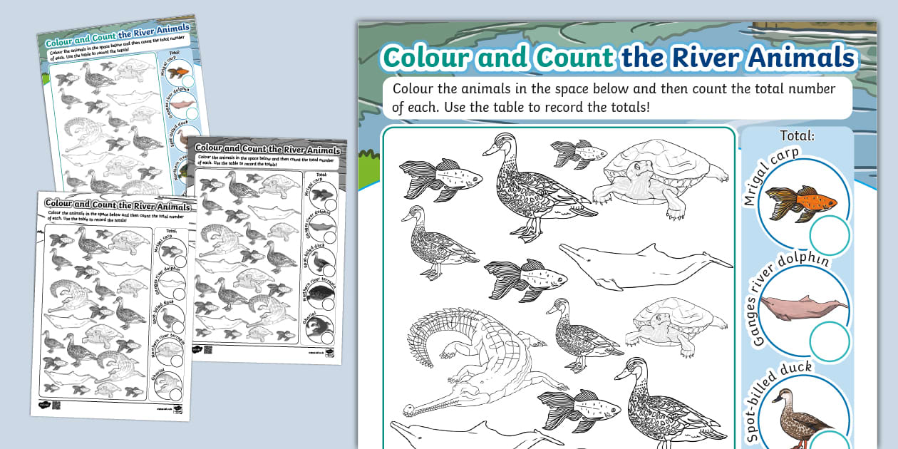 * NEW * Colour and Count the River Animals - India - Twinkl