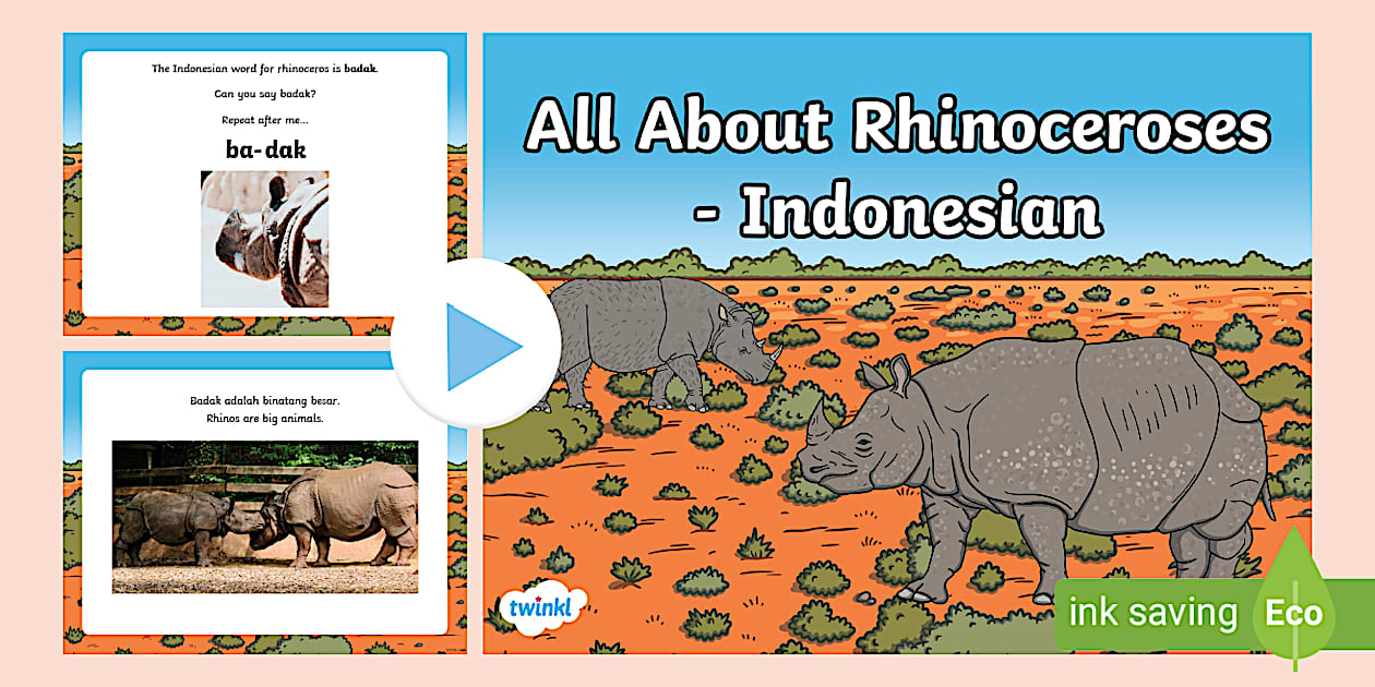 Indonesian Animals: All About Rhinos - Indonesian - Twinkl