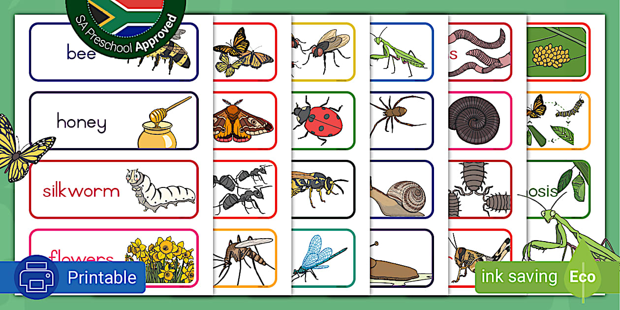 Insects and Garden Critters Word Cards (teacher made)
