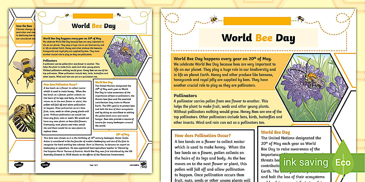 World Bee Day (Fact File) (teacher made) - Twinkl