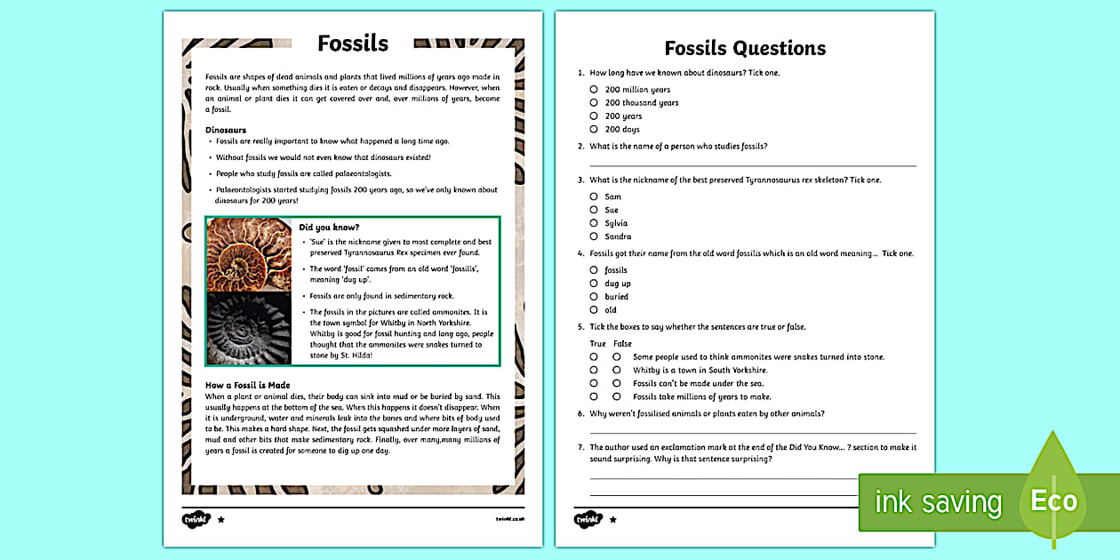 Fossils Differentiated Reading Comprehension KS2 Year 3