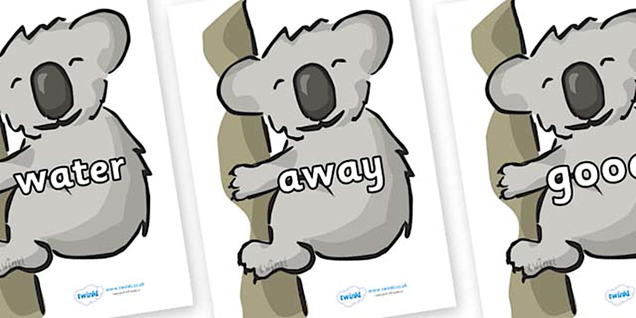 Cursive Next 200 Common Words on Koalas (teacher made)