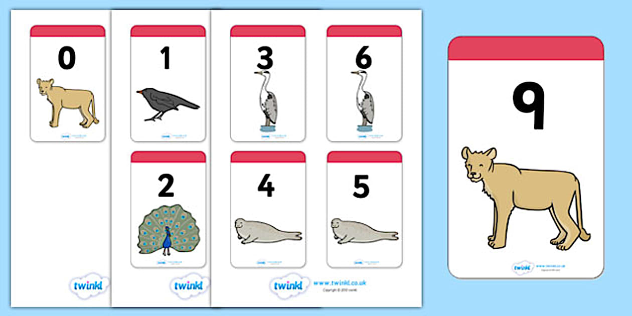 Number Bonds to 9 Matching Cards (Animals) (teacher made)