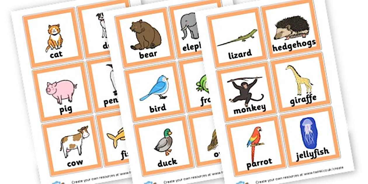 Zoo Animal Cards (teacher made) - Twinkl