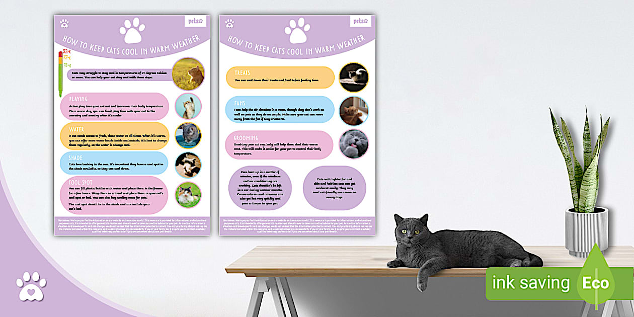How to Keep Cats Cool - Information Sheet - Summer - Pets
