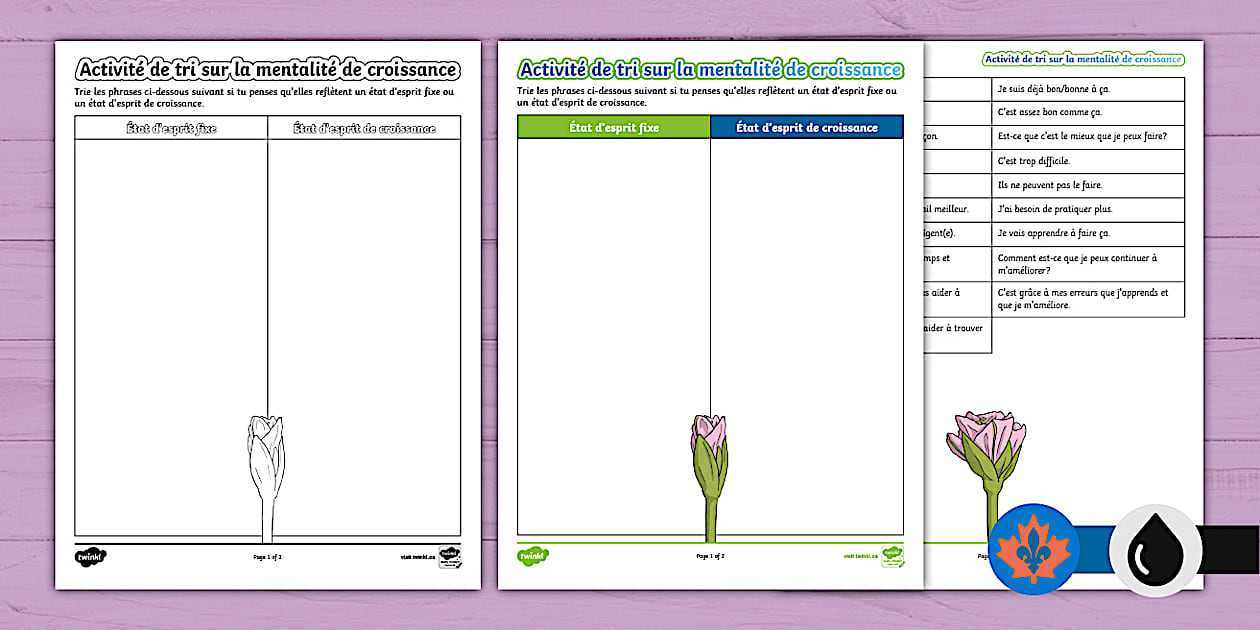 Growth Mindset in the Classroom Sorting sheet French