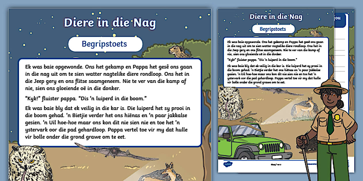 Diere van die Nag - Begripstoets (teacher made) - Twinkl