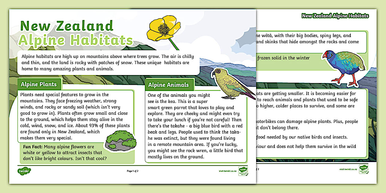 New Zealand Alpine Habitats Fact File (teacher made)