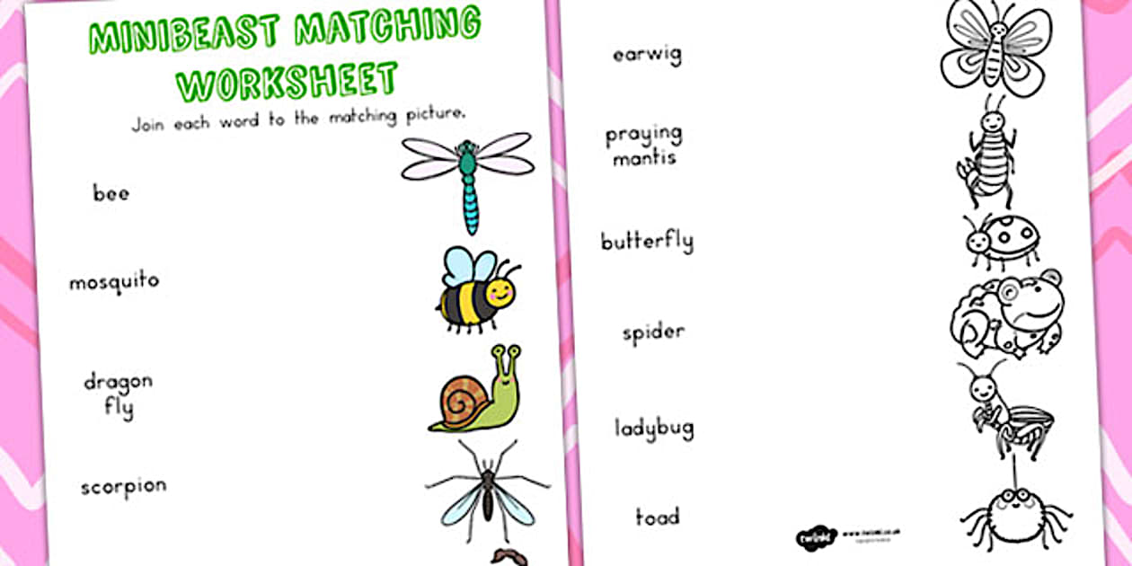 Minibeast Cute Word and Picture Matching Worksheets - Twinkl