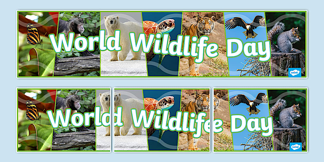 World Wildlife Day Photo Display Banner (Teacher-Made)