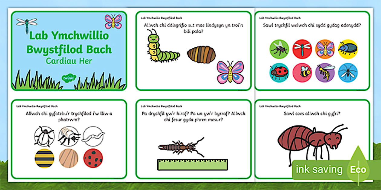 Cardiau Her Ymchwiliad Lab Trychfilod (teacher made)