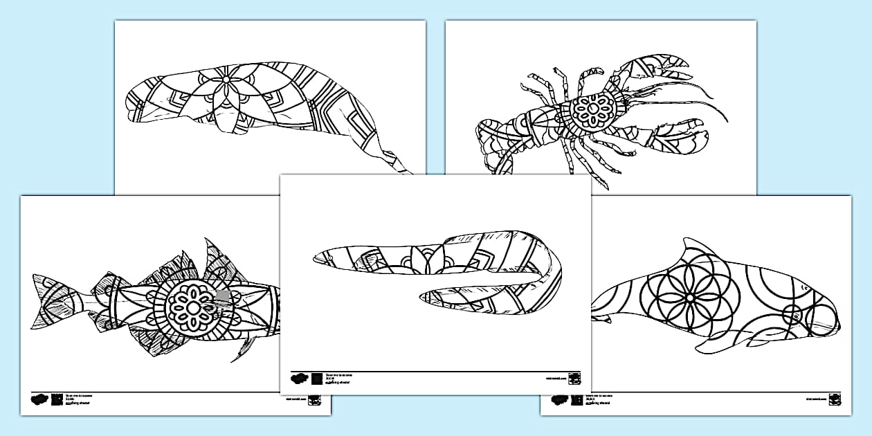 Mandala Sea Animals Colouring Pages - Twinkl - KS2 - Twinkl