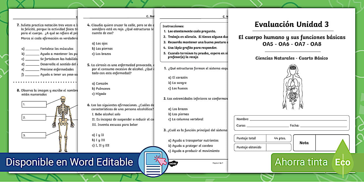 Evaluación: 4° Básico - Ciencias Naturales Unidad 3