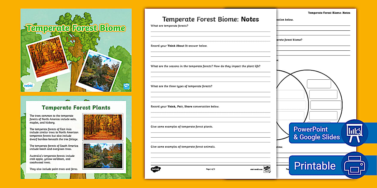 Temperate Forest Biome PowerPoint & Google Slides