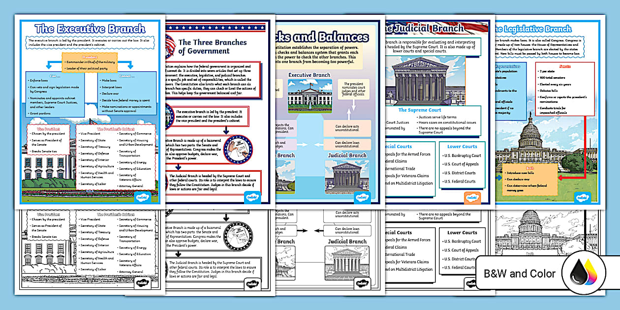 Branches of Government Poster Pack for 6th-8th Grade