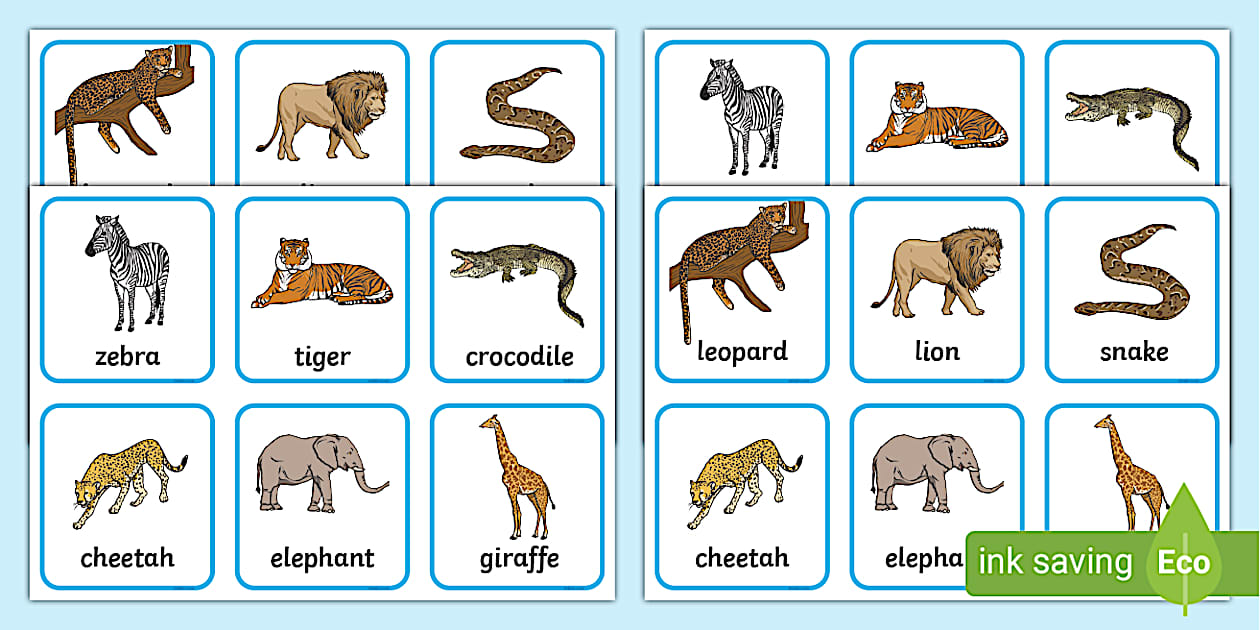 Safari Animals Matching Pairs Game (teacher made) - Twinkl