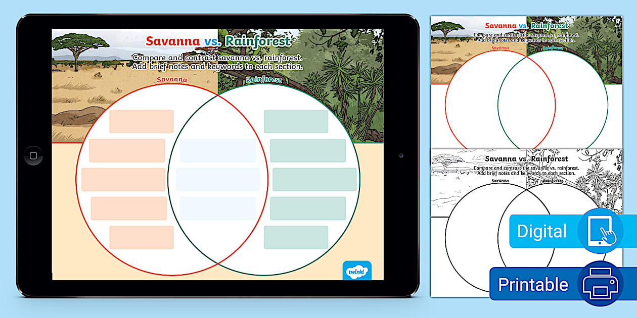 Savanna vs. Rainforest Compare Contrast Worksheet for 6th-8th
