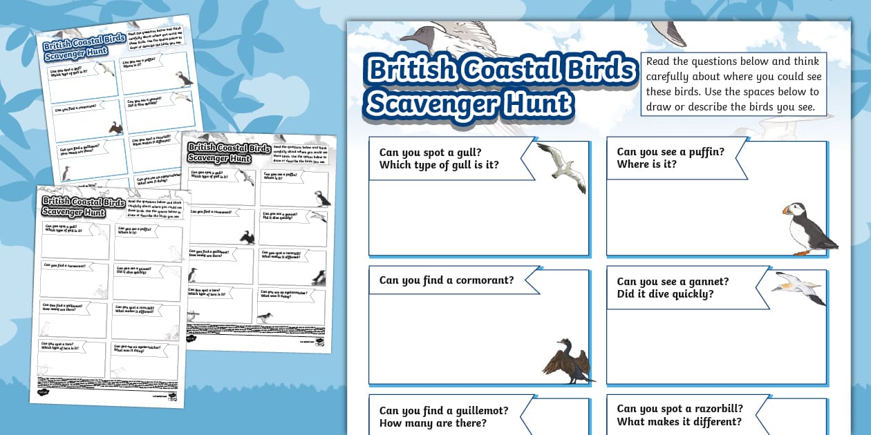 * NEW * British Coastal Birds Scavenger Hunt Worksheet