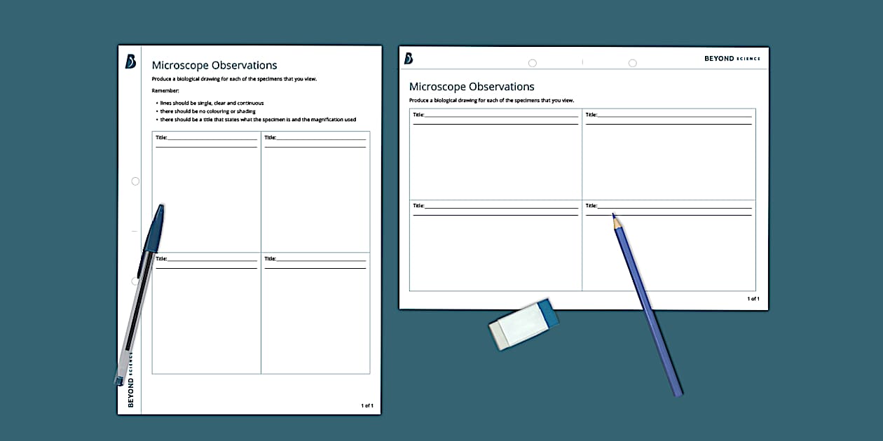 Microscope Observations Worksheet | Science | Beyond