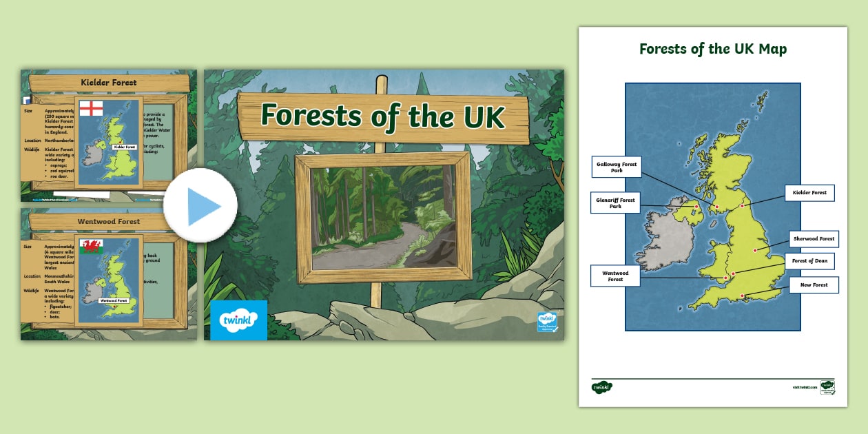 Forests of the UK Information PowerPoint (teacher made)