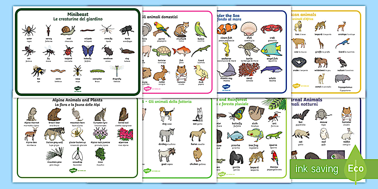 Animal Habitat Word Mats Resource Pack English/Italian - Desert Animals Word