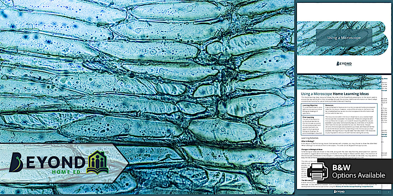 KS3 Science Home Learning Using a Microscope | Beyond