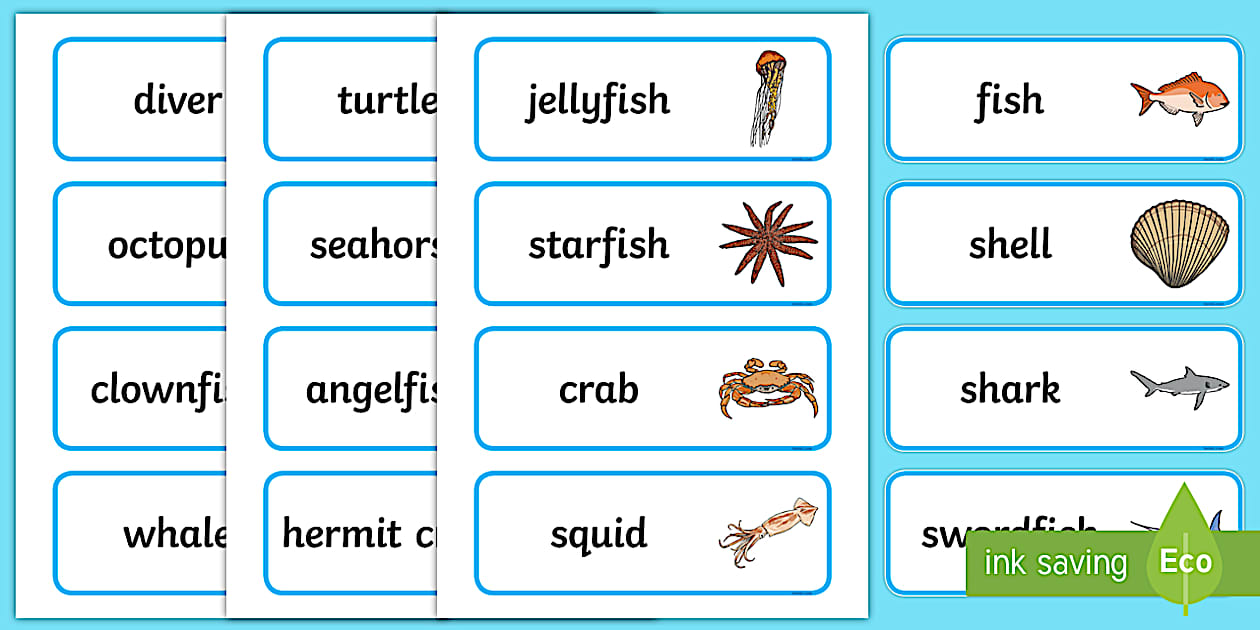Ocean Words | Under the Sea Word Cards | Twinkl - Twinkl