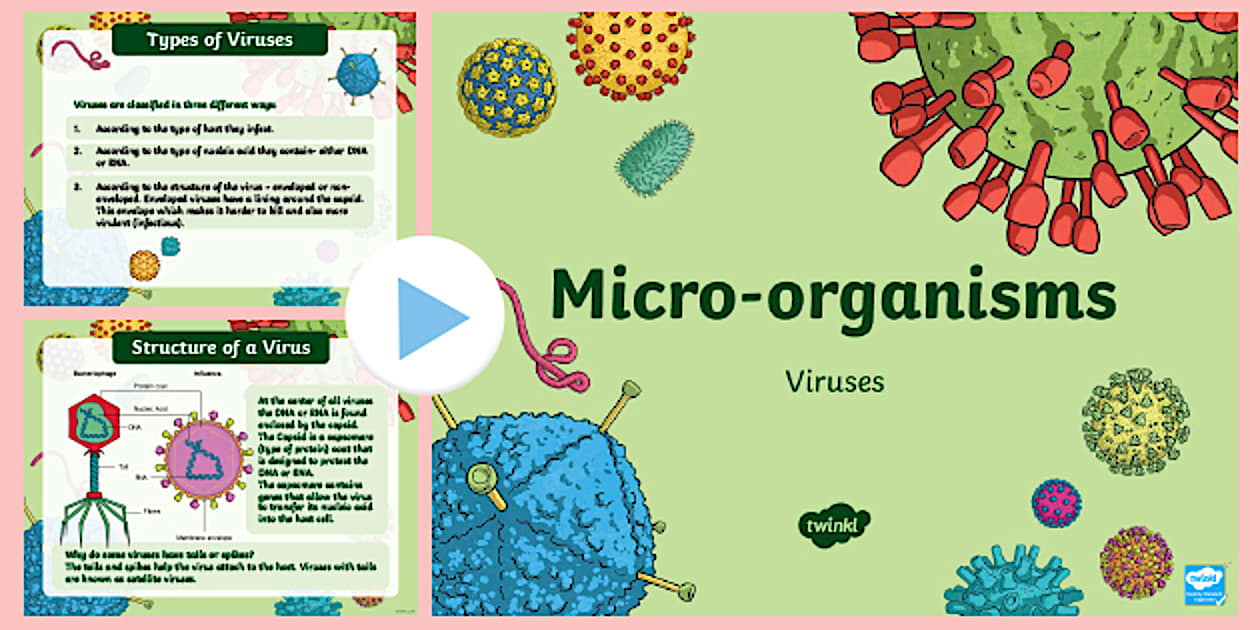 Viruses PowerPoint (Teacher-Made) - Twinkl