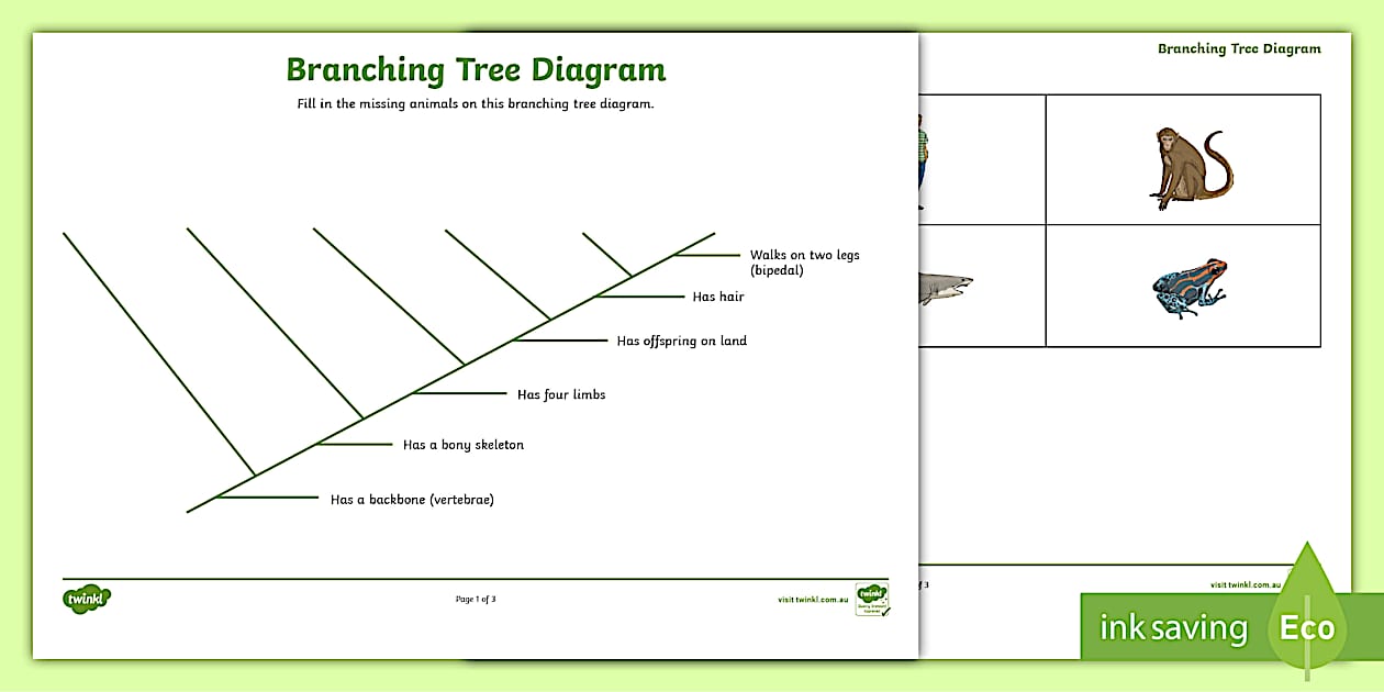 Branching Tree Diagram Activity Ι Year 5 Biological Sciences