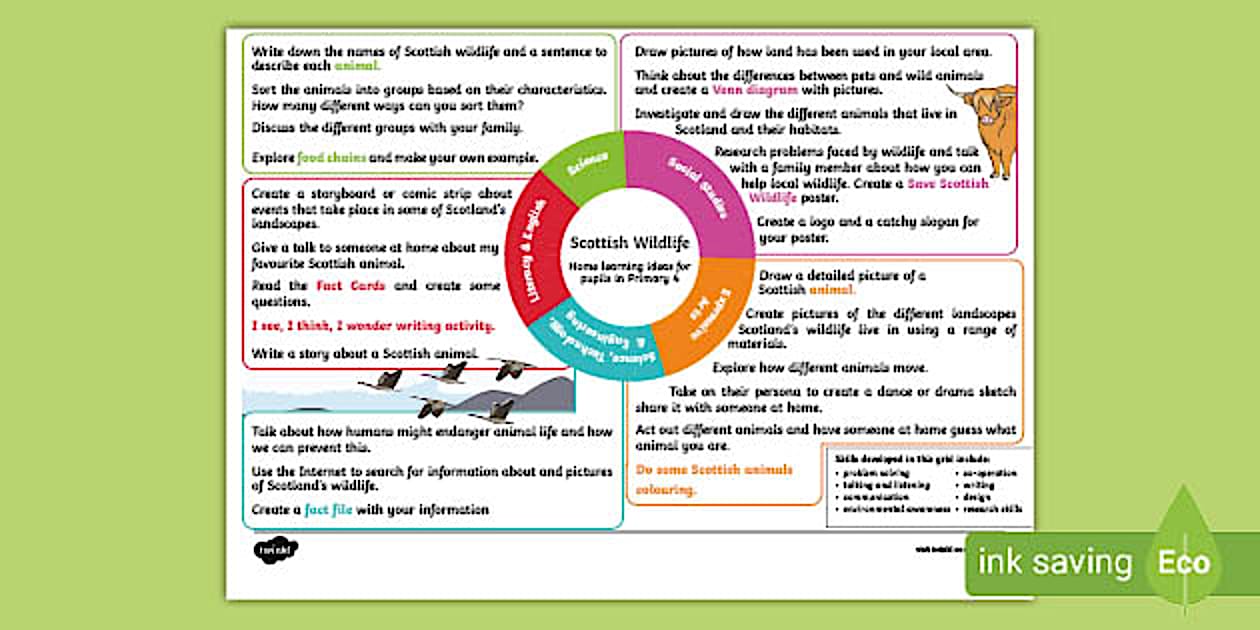 Scottish Wildlife P4 Mini Home Learning Topic - Twinkl