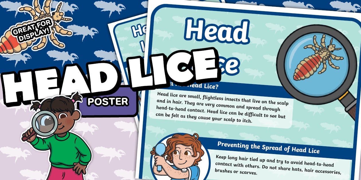 Head Lice Poster
