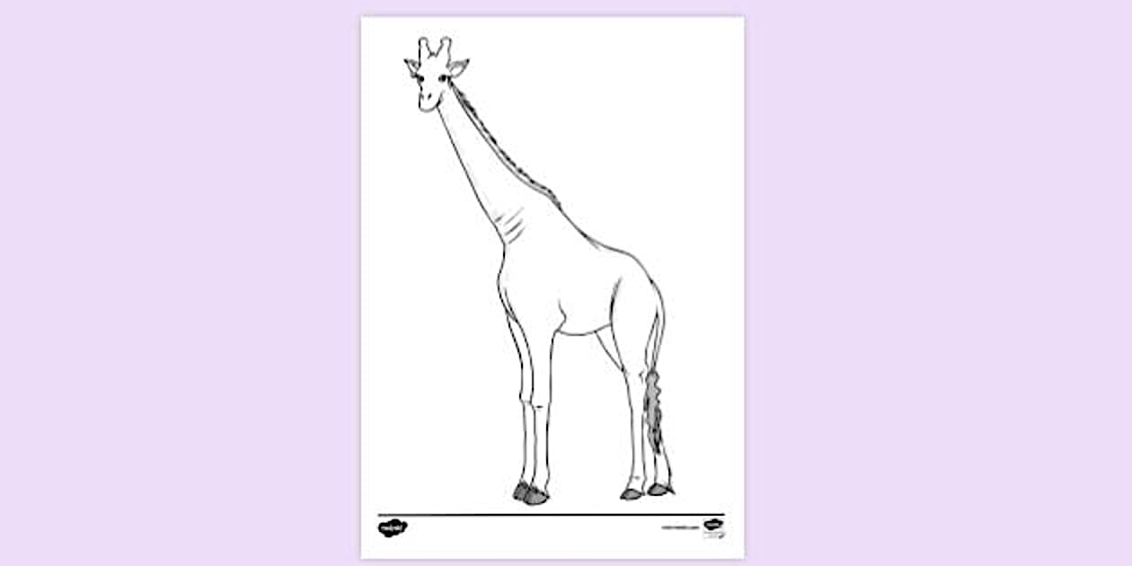 Giraffe Colouring Sheet | Colouring Sheets (teacher made)