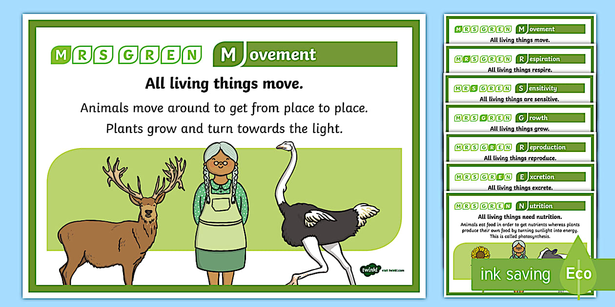 Mrs Gren Life Processes Display Posters - Twinkl