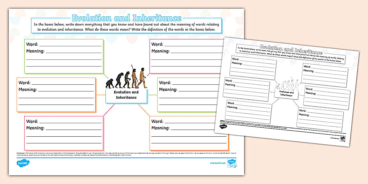 Evolution and Inheritance Vocabulary Mind Map (Teacher-Made)