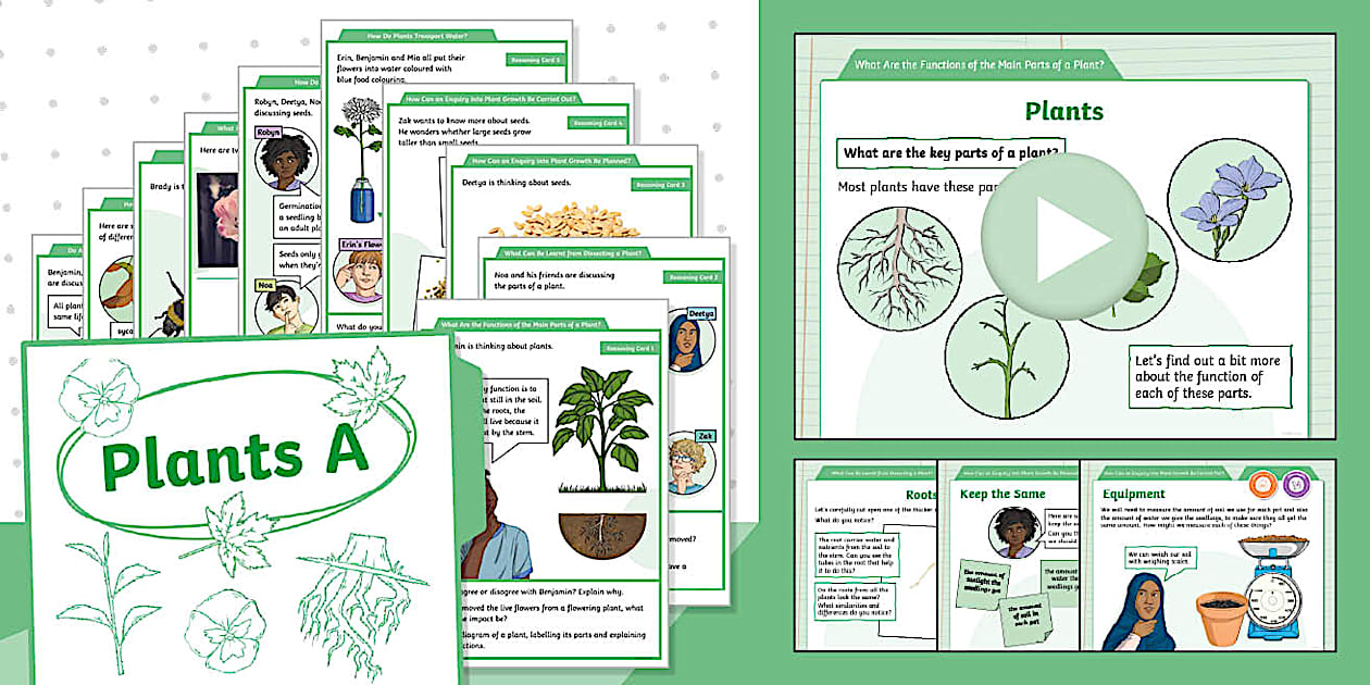 Step into Science: Year 3: Summer: Block 1: Plants A: Steps 1 to 10