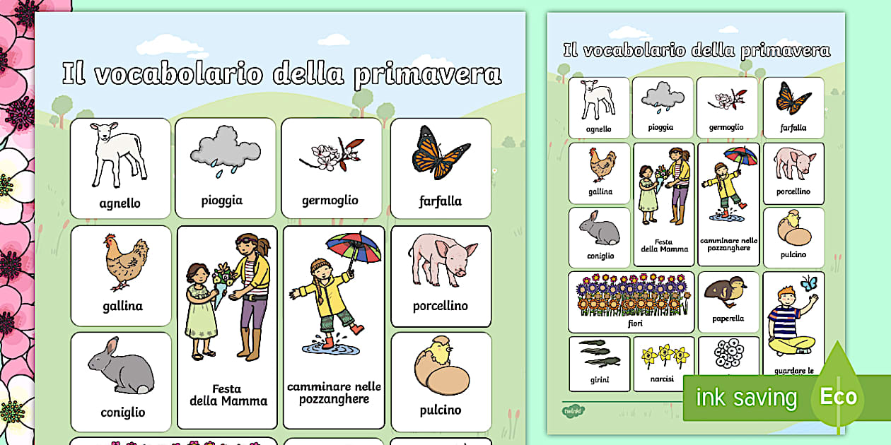 La primavera Vocabolario Illustrato (teacher made) - Twinkl