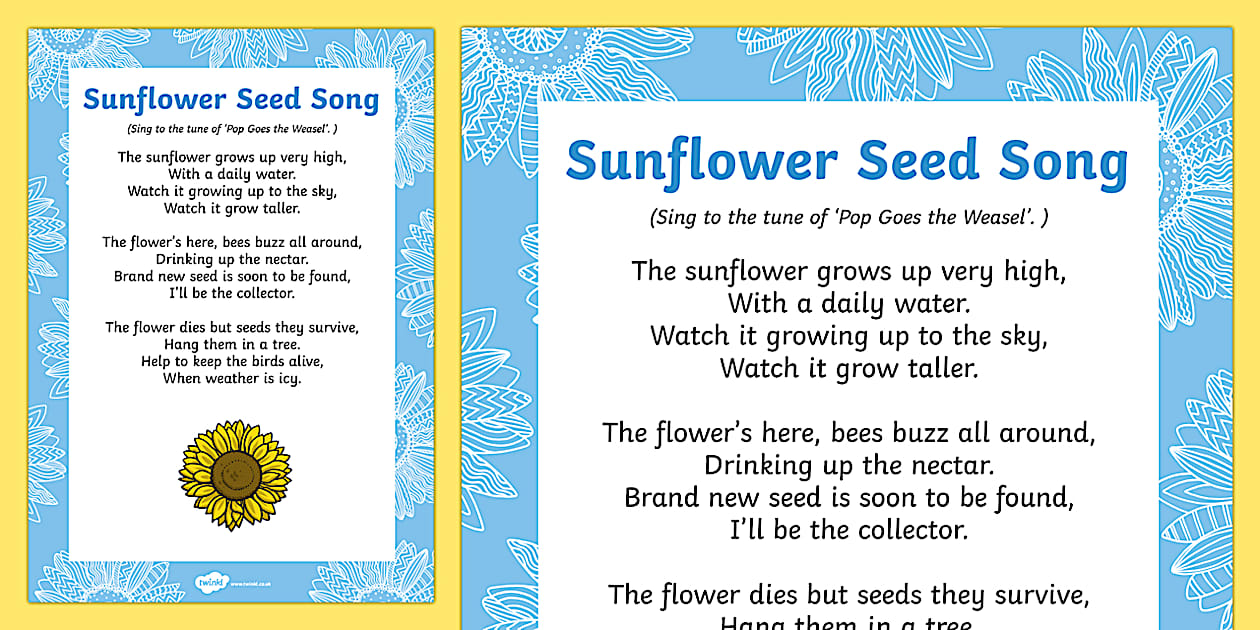 Black and White Sunflower Seed Song (teacher made) - Twinkl