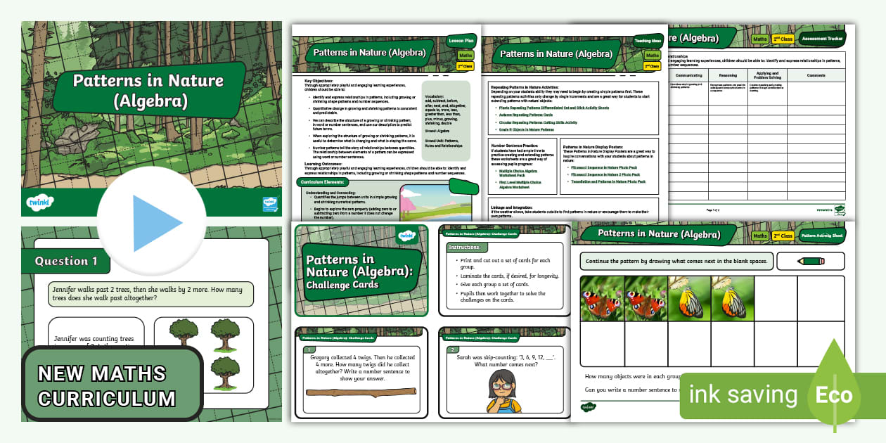 Patterns In Nature Algebra Pack | Twinkl Ireland - Twinkl