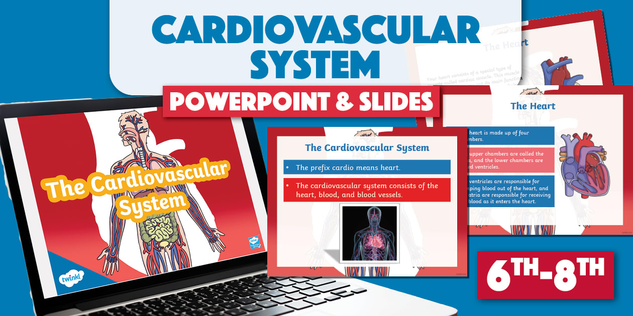 The Cardiovascular System PowerPoint & Google Slides